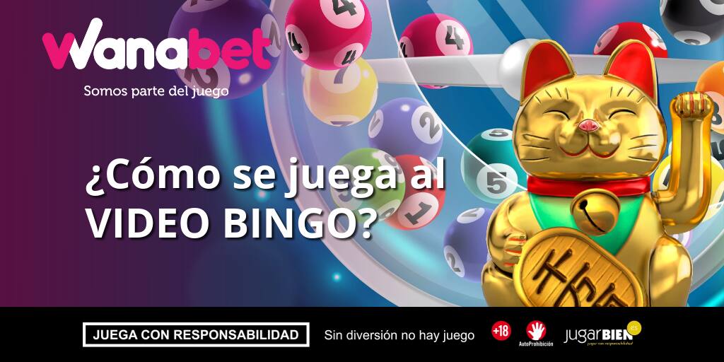 Todo lo que necesitas saber sobre los Video Bingo - El Blog de Yaass Casino