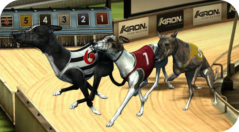 Cómo jugar a Platinum Hounds | Apuestas Virtuales